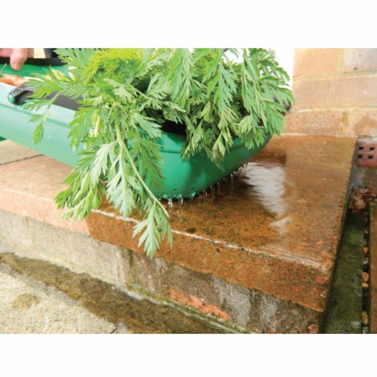 Plastic Colander Garden Trug | 56cm Length