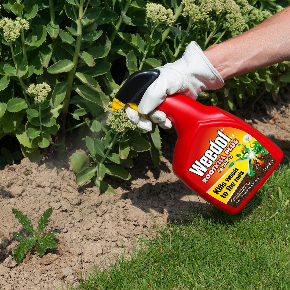 Weedol Gun! Rootkill Plus Systemic Weedkiller | 1Ltr
