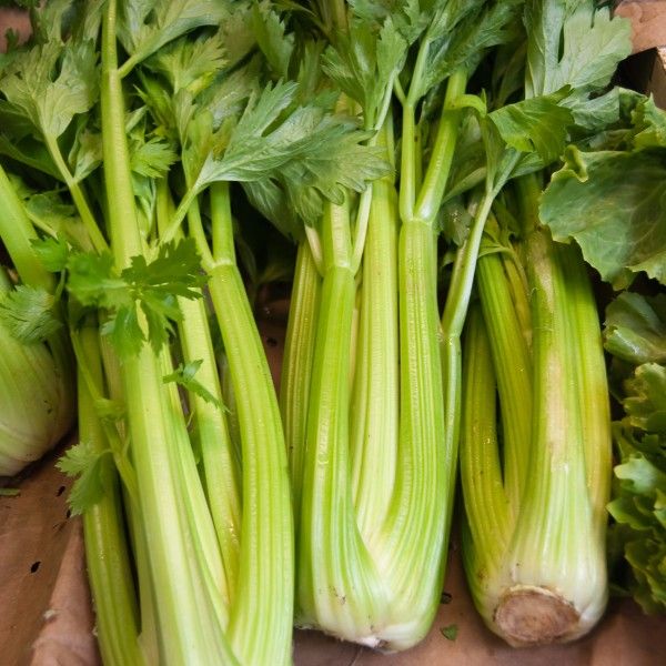 celery in uk