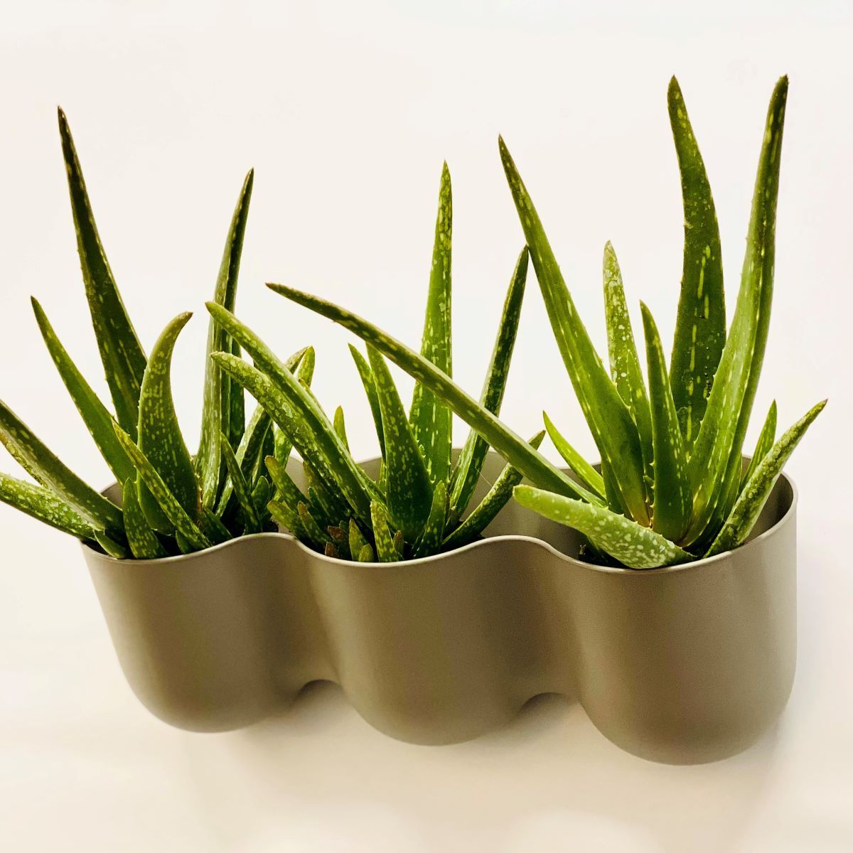 V-Pot Trio Vertical Wall Pot Planter | Coco Brown