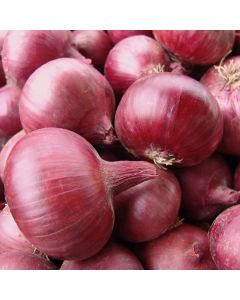 Vegetable and Fruit Plants