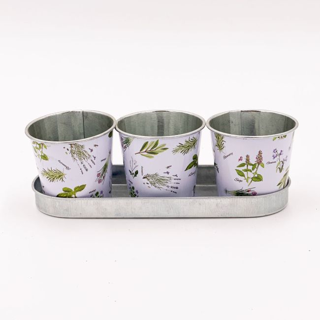 Set of 3 Mini Round Herb Pots with Tray| Tin