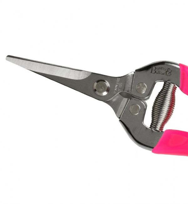 Florabrite handled Flower and Fruit Snip by Burgon & Ball|Pink