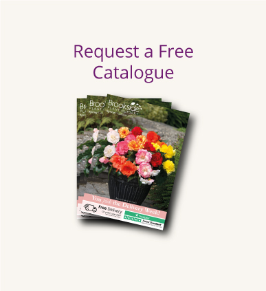 Brookside Garden Plant Catalogue | Free Gardening Catalogue Delivered ...