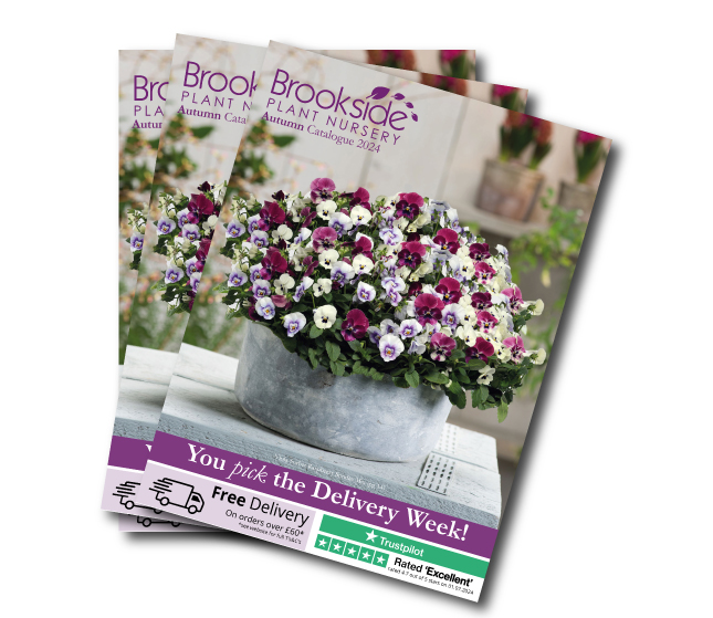 Brookside Garden Plant Catalogue | Free Gardening Catalogue Delivered To Your Door